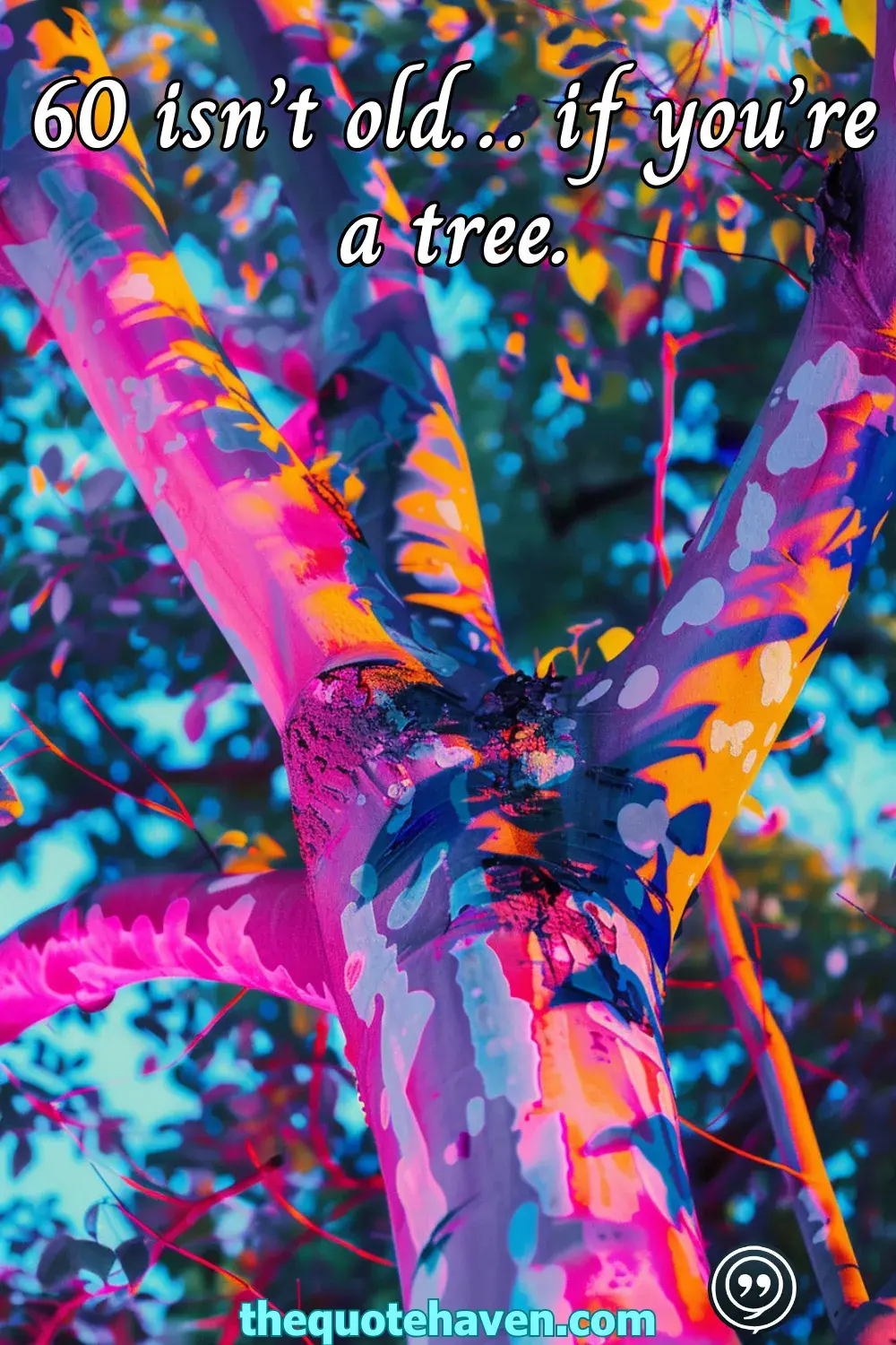 Funny and Touching 60th Birthday Quotes